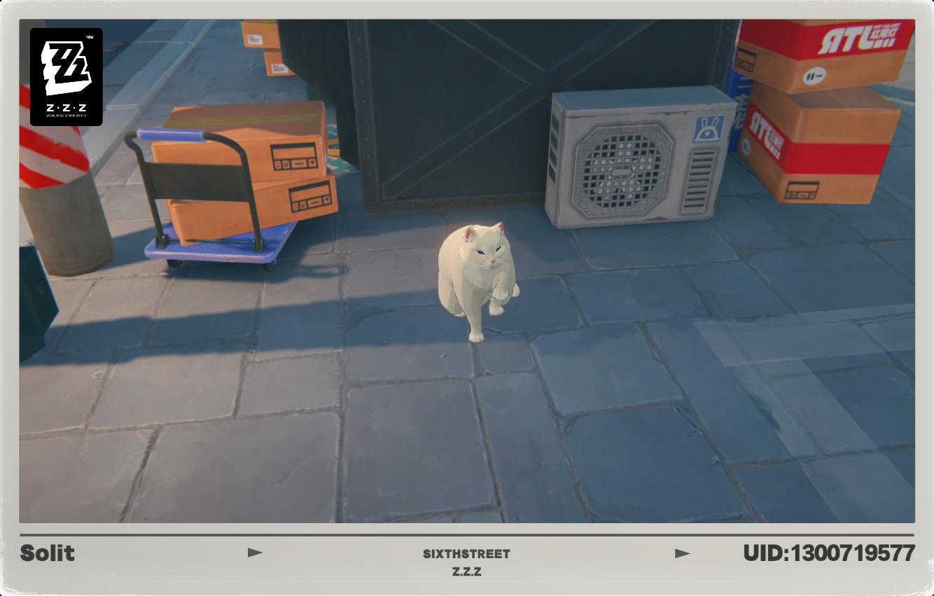 Cat Zenless Zone Zero | HoYoLAB