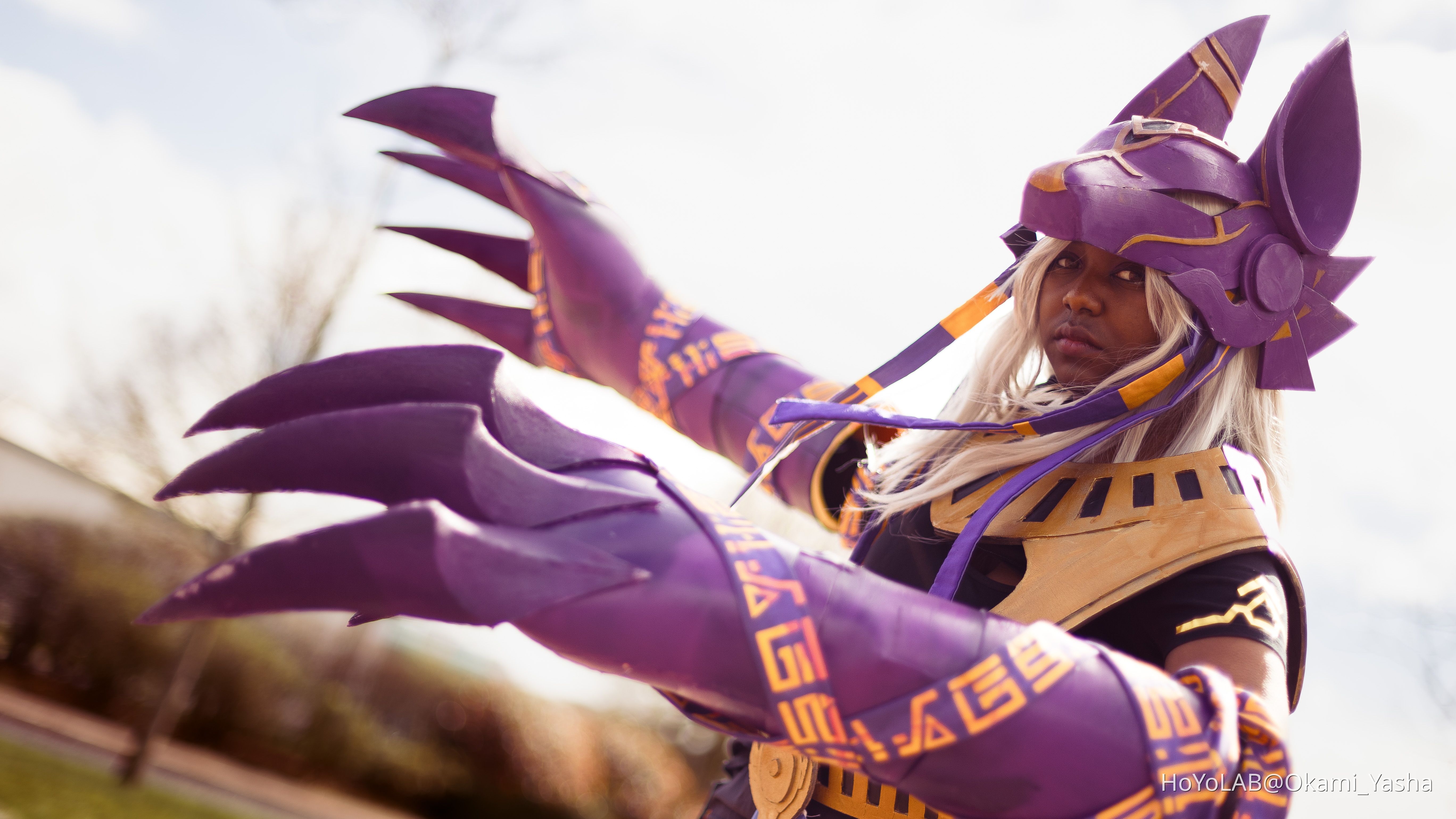 Cyno’s ult Genshin Impact | HoYoLAB