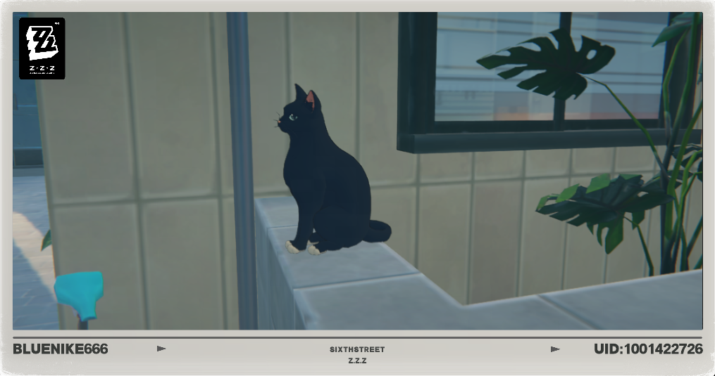 Inky the best cat. Zenless Zone Zero | HoYoLAB