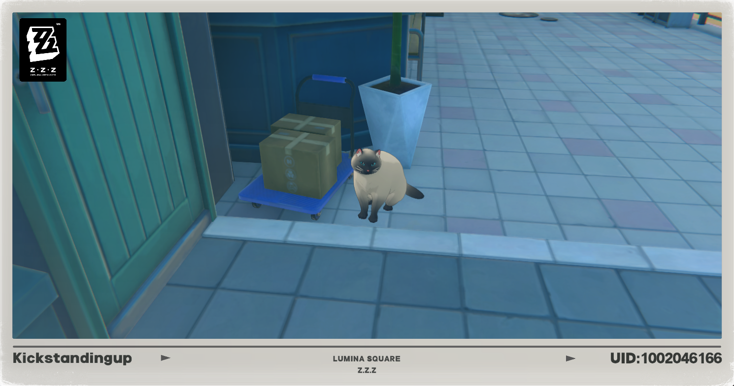 Photographing every cat in zzz day 12 Zenless Zone Zero | HoYoLAB