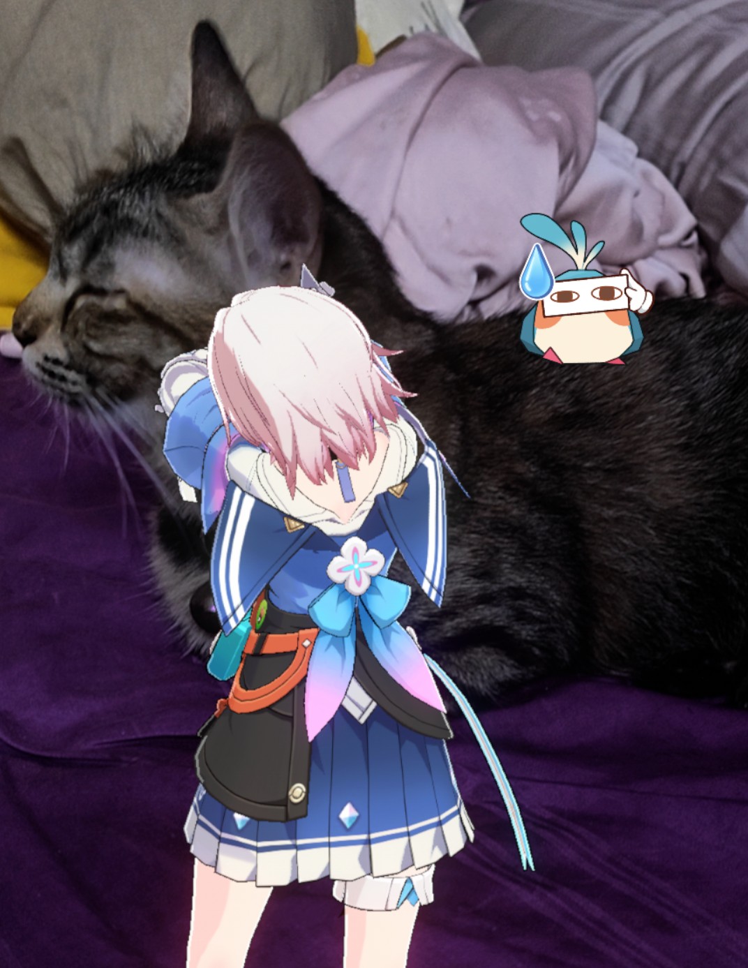 拍一张猫 Honkai: Star Rail | HoYoLAB