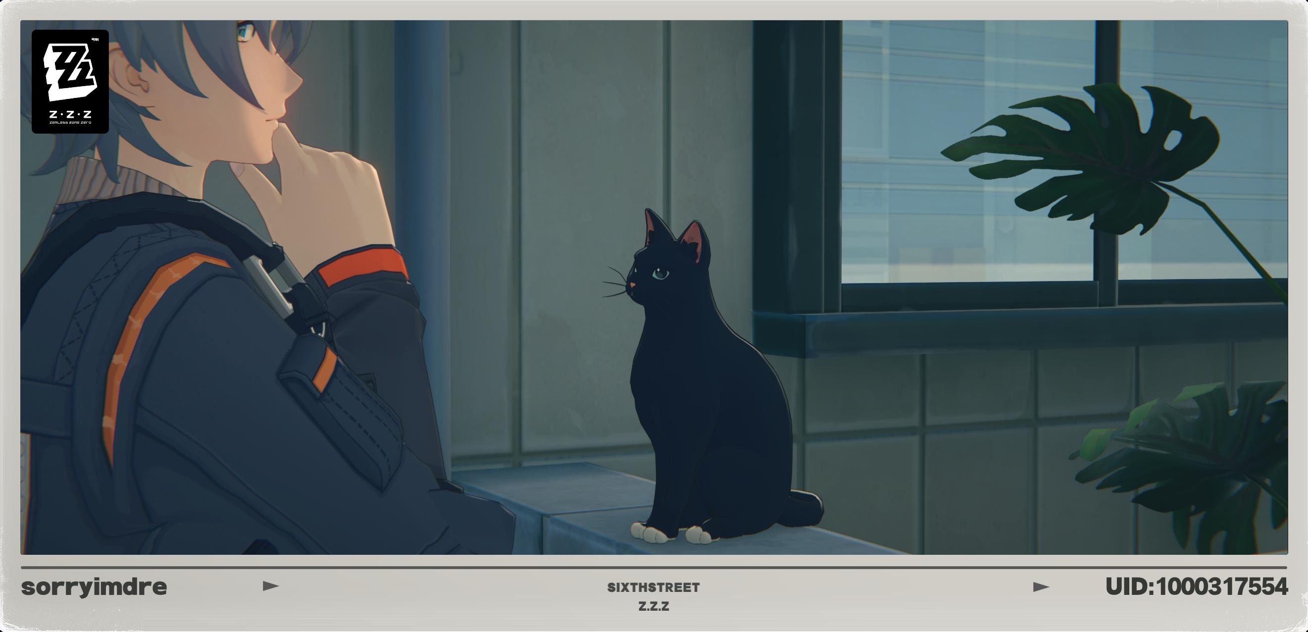 CATS! Zenless Zone Zero | HoYoLAB