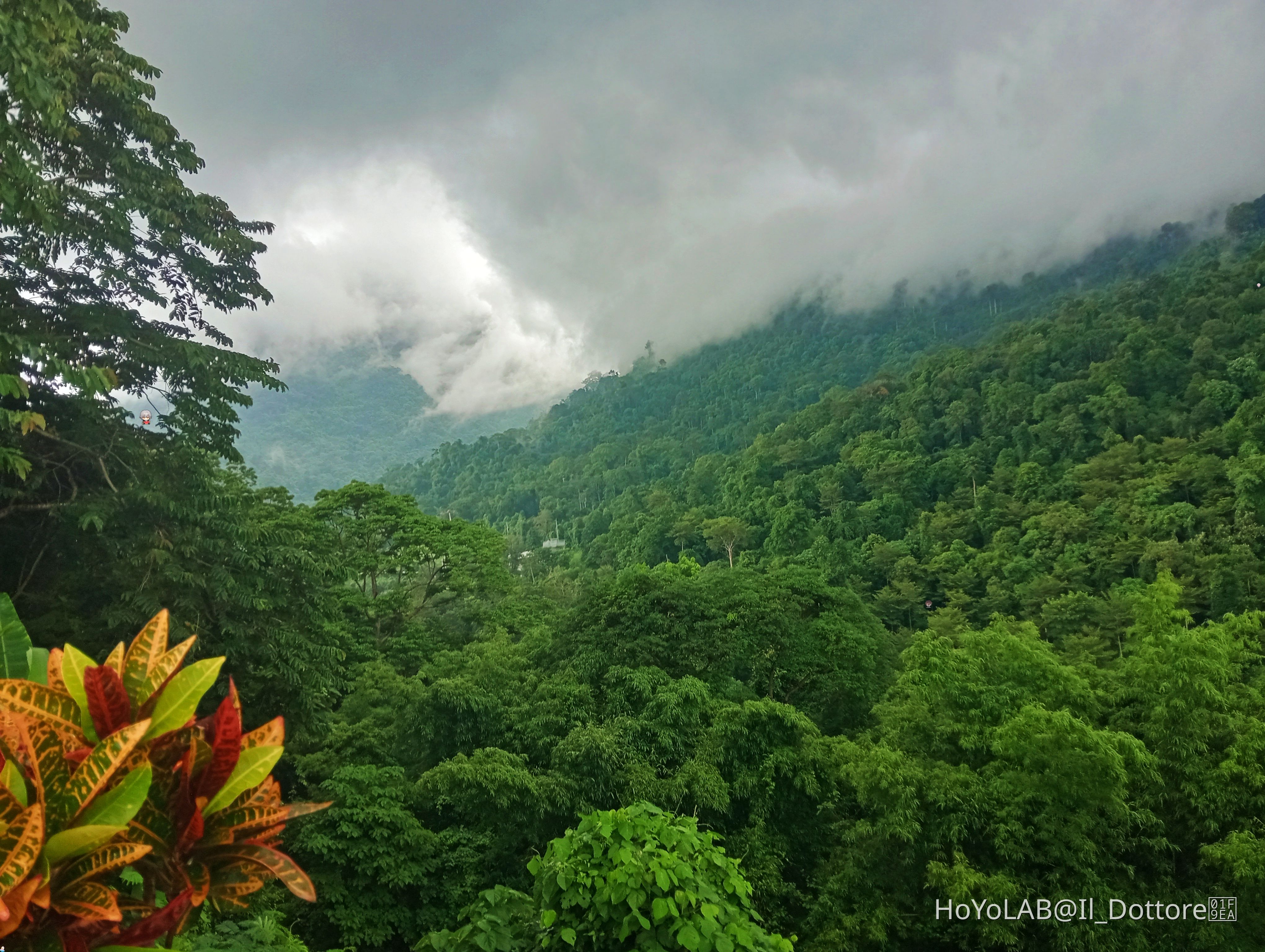 มาตามหา Cealus,March 7th,Welt yang และ Stellar jade กัน Honkai: Star ...