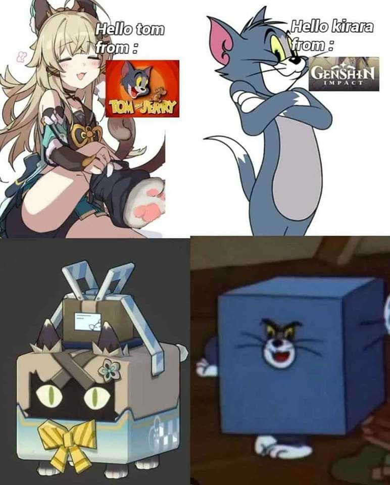 Kirara Cat Box Genshin Impact | HoYoLAB