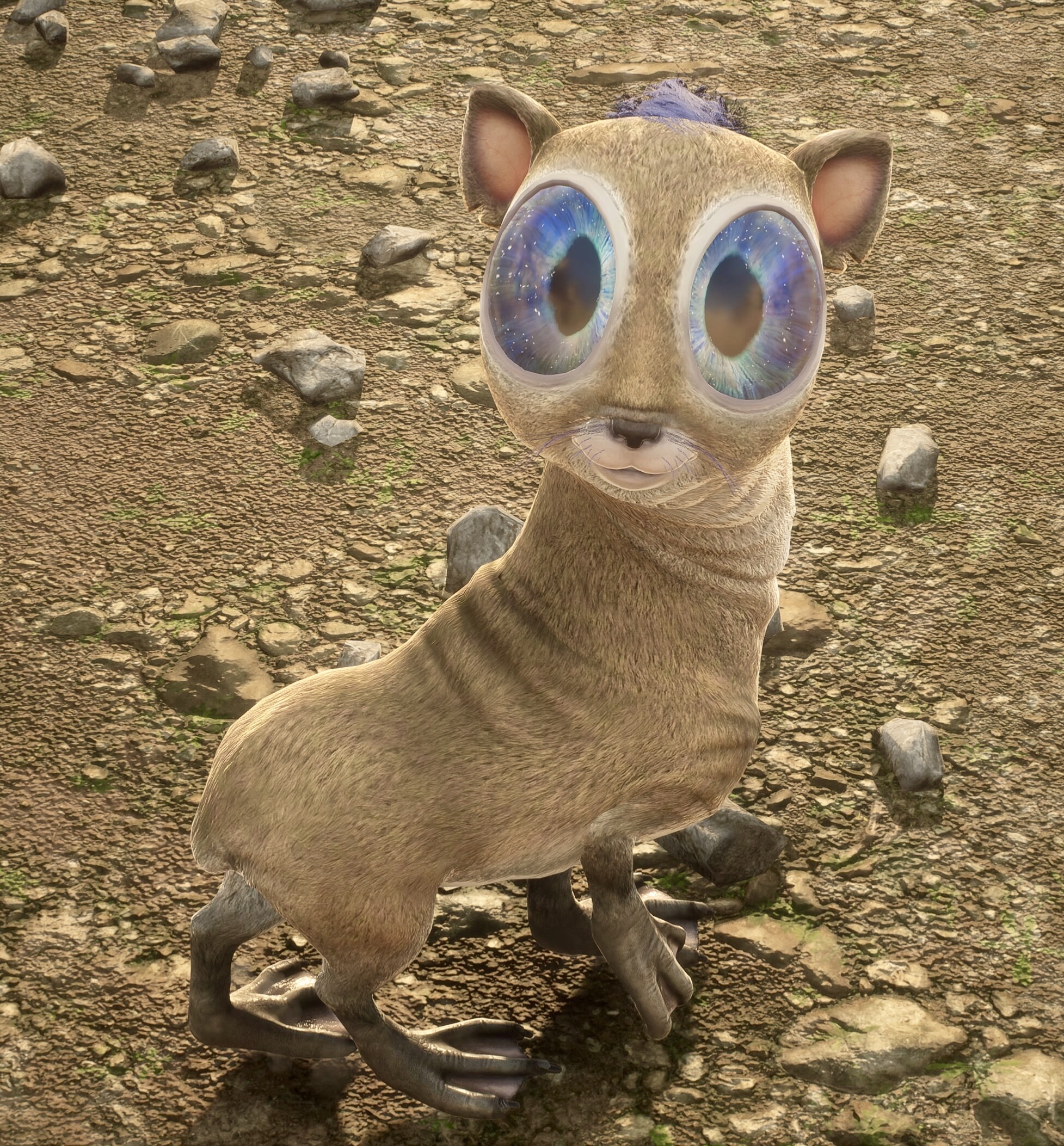 I Have Nothing to Post, So Take Some Mooncalves | HoYoLAB