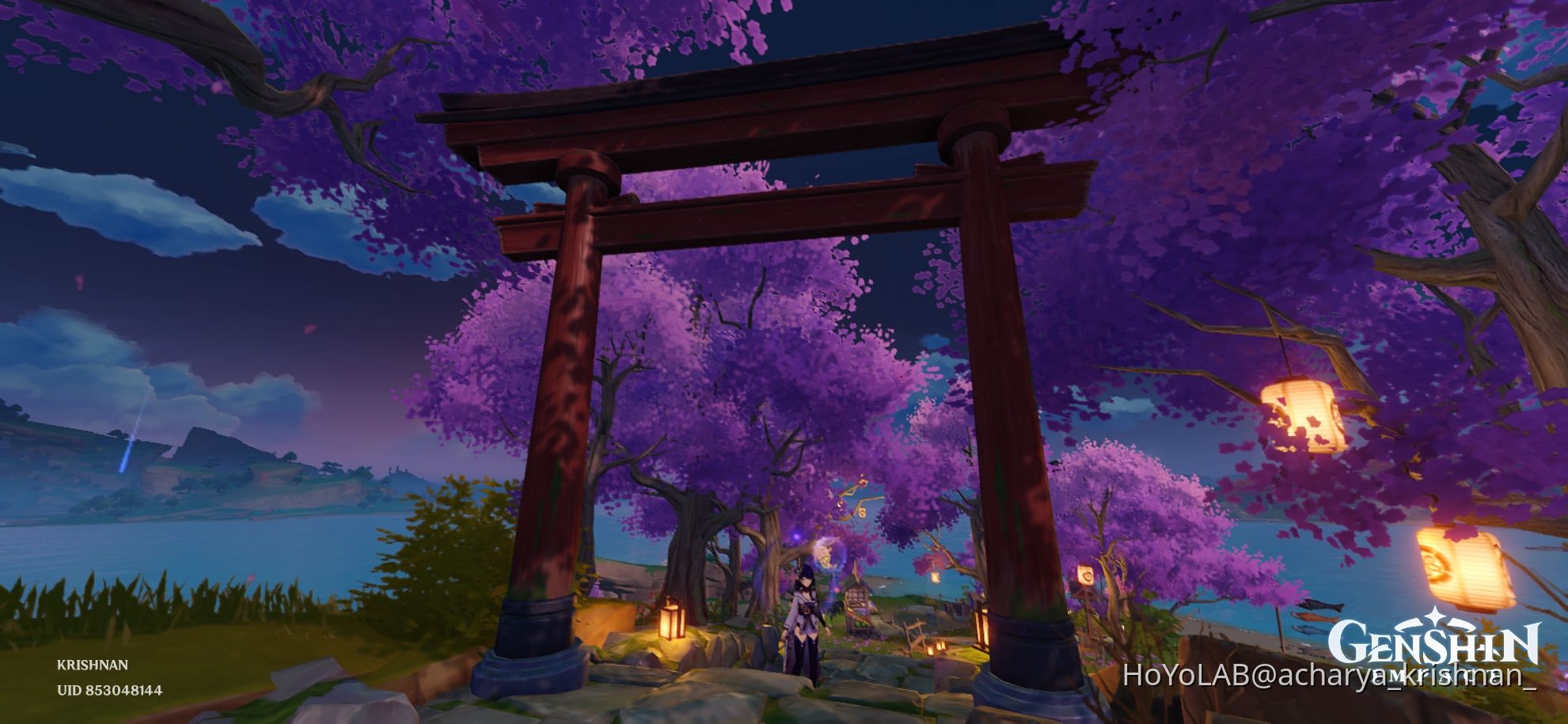 Event photo #9 raiden shogun Genshin Impact | HoYoLAB