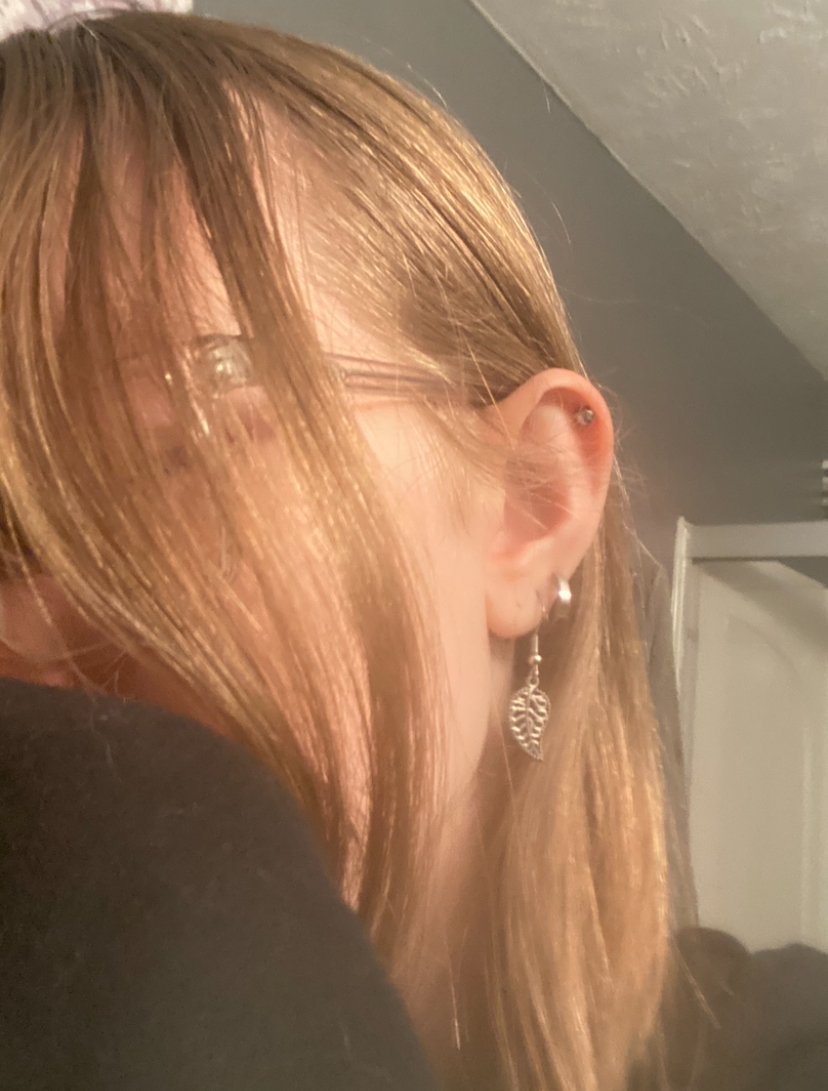 Look at the piercing on top.. I actually did that myself with a ...