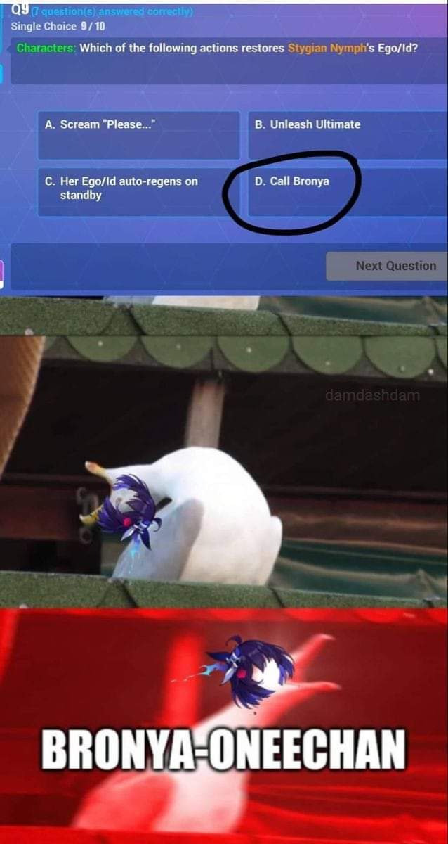 honkai memes Honkai Impact 3rd | HoYoLAB