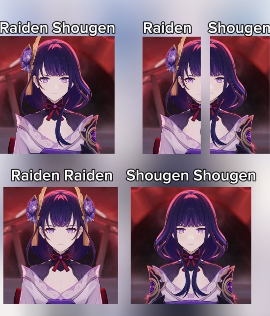 parts of Raiden Shougen Genshin Impact | HoYoLAB