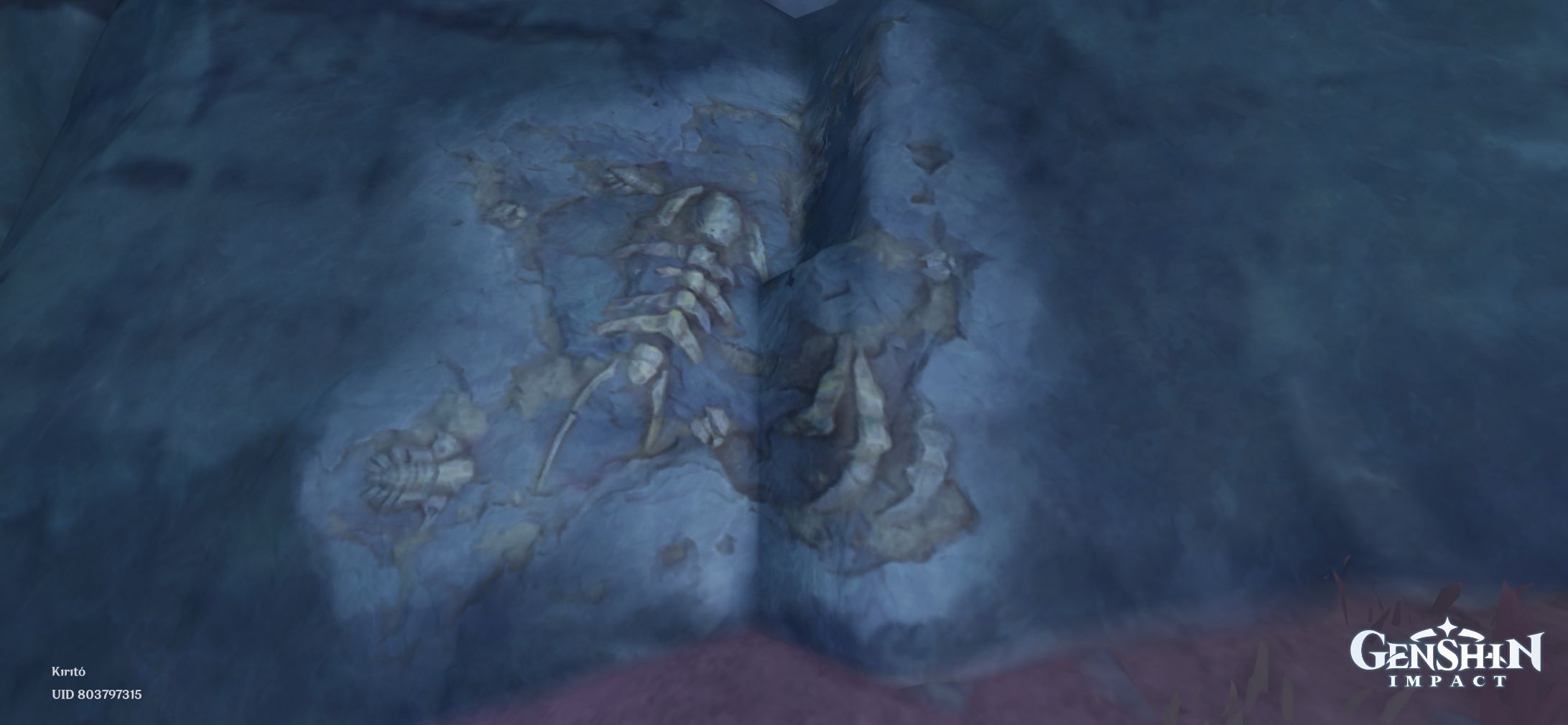 Fossil Genshin Impact | HoYoLAB
