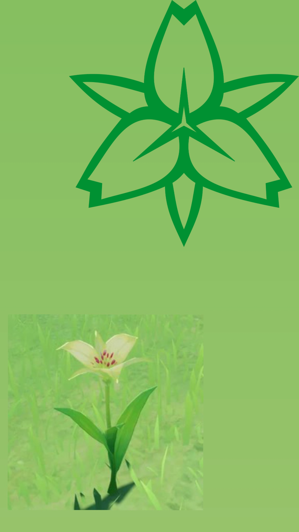 Cecilia flowers look like the symbol of the Schariac house Genshin ...