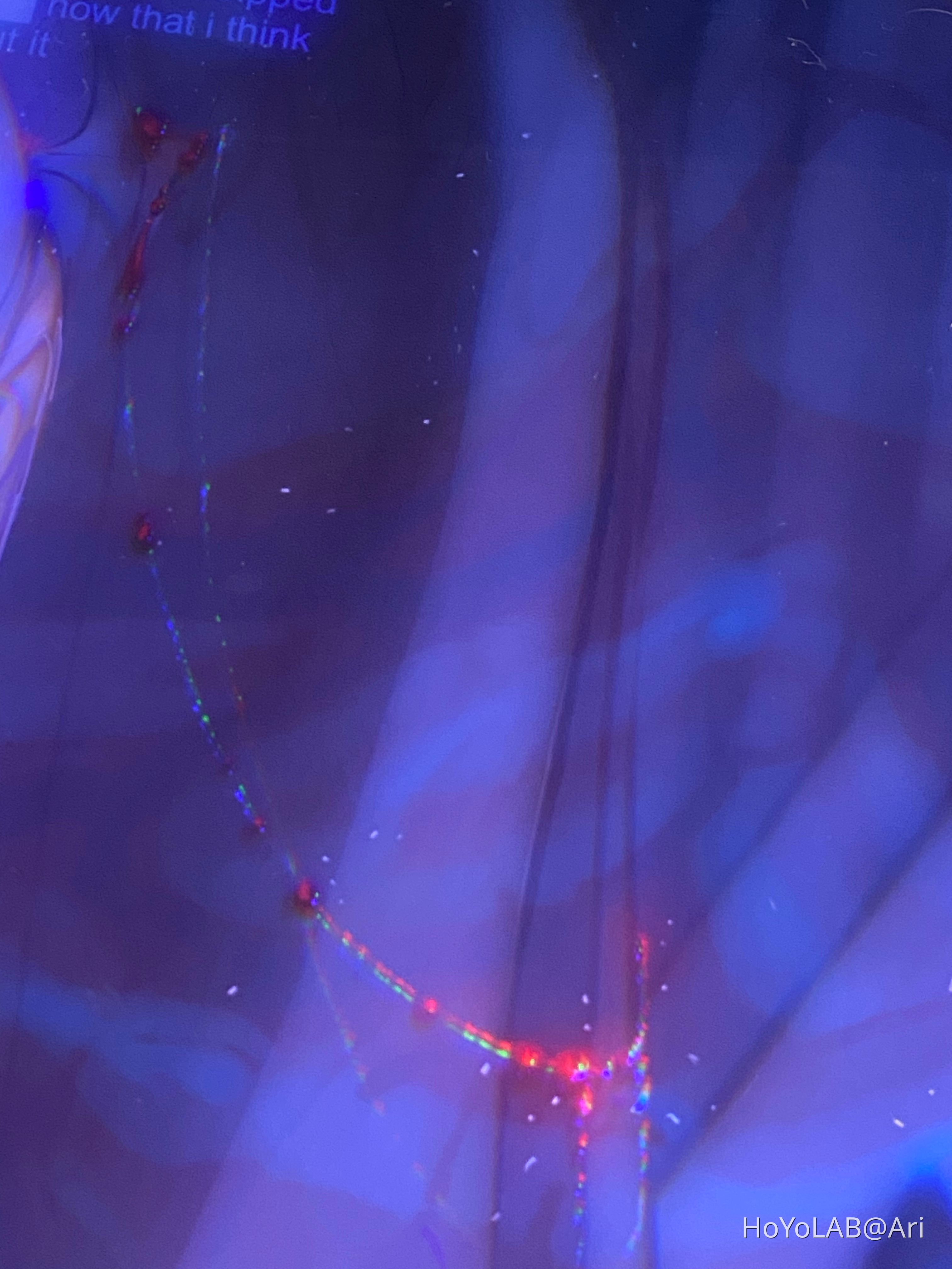 zoomannotation1.pdf {art piece snippet 5} | HoYoLAB