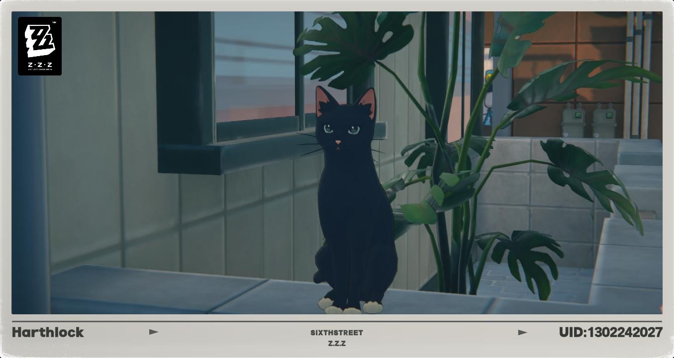 Cats of Zenless Zone Zero Zenless Zone Zero | HoYoLAB