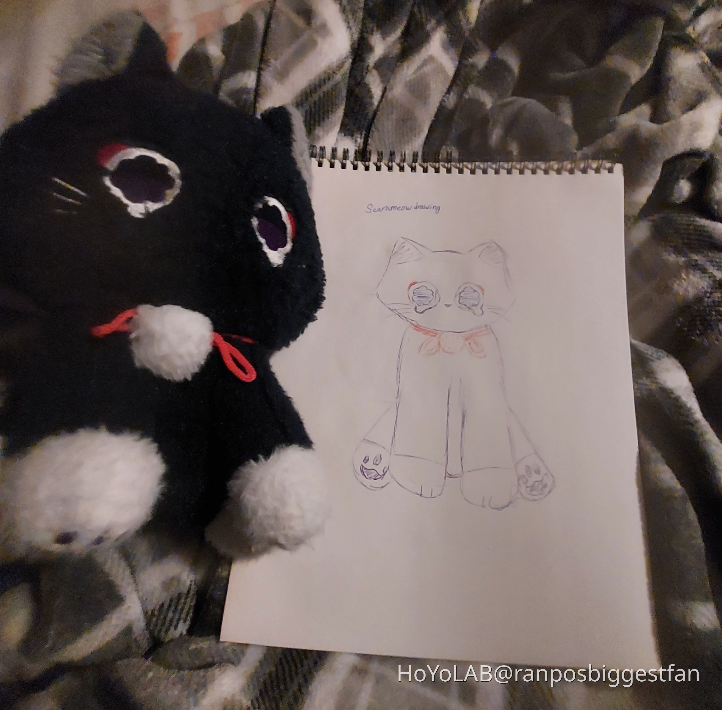 Drawing I made of my Scarameow plush at 1:00 am Genshin Impact | HoYoLAB