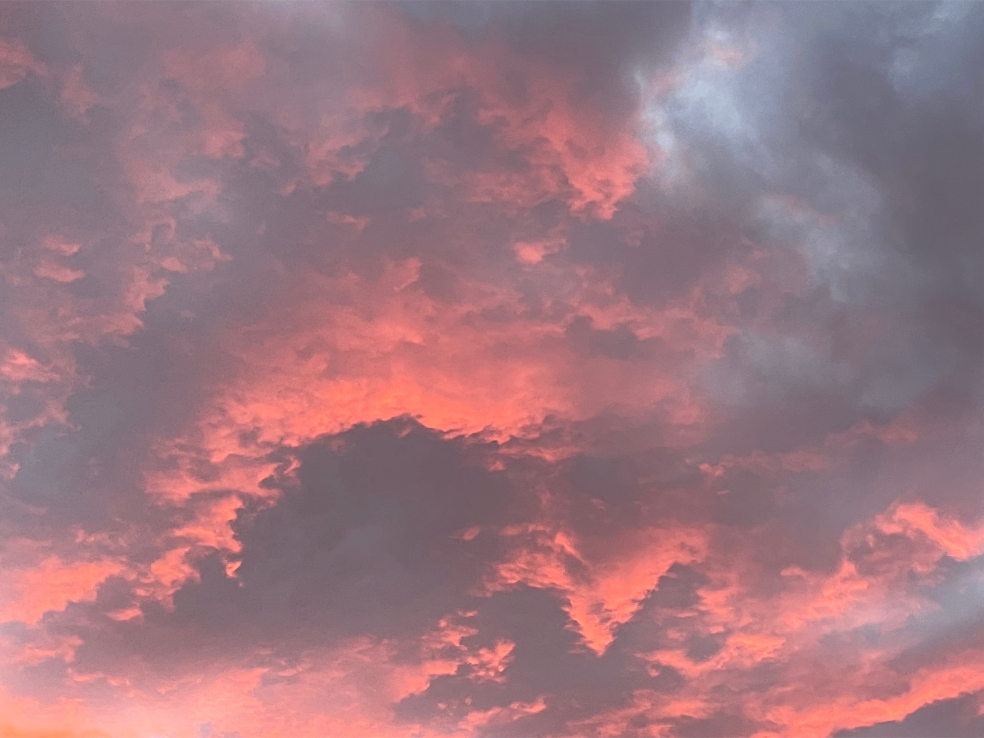 Skyyyyy!! | HoYoLAB