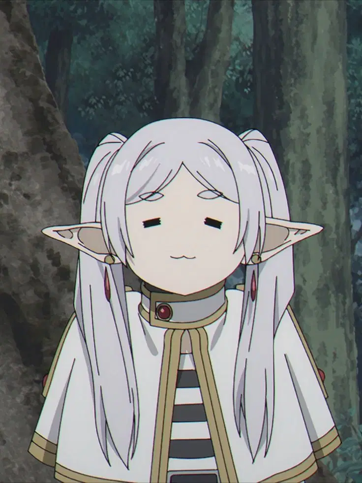 Qing Yi cute face that look like Frieren. Zenless Zone Zero | HoYoLAB