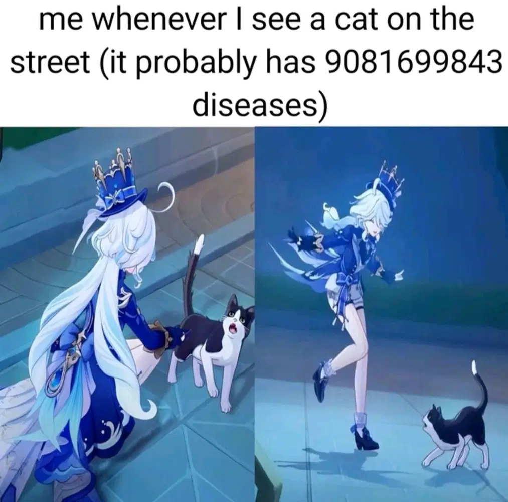 Here is your (not) so daily Furina memes! Genshin Impact | HoYoLAB