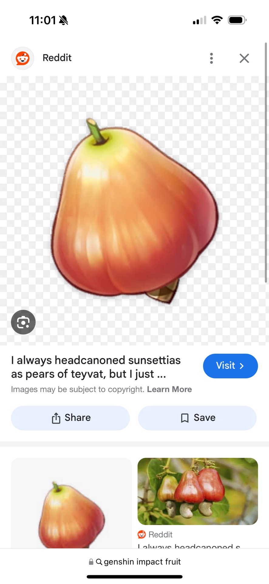 huh? It's a tomato that looks like sunsettia! Genshin Impact | HoYoLAB