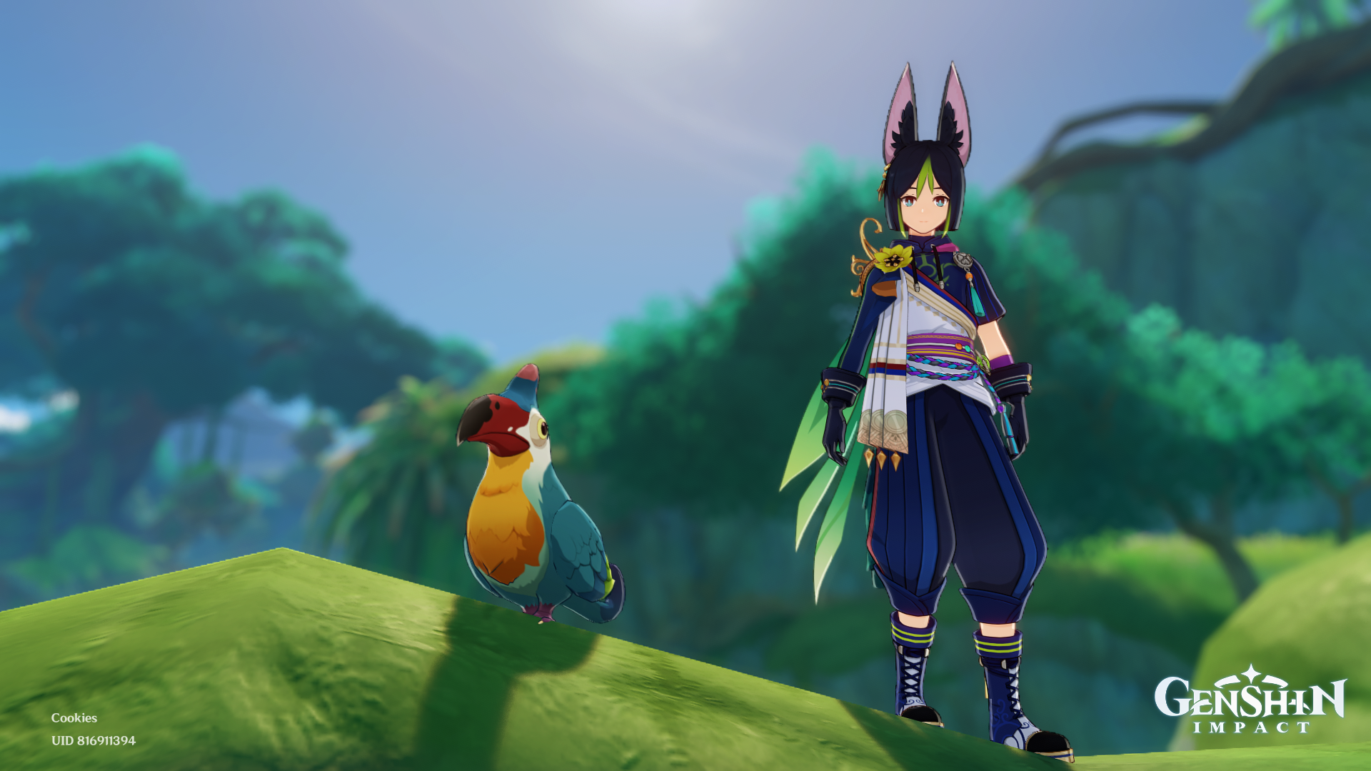 dusk birb Genshin Impact | HoYoLAB