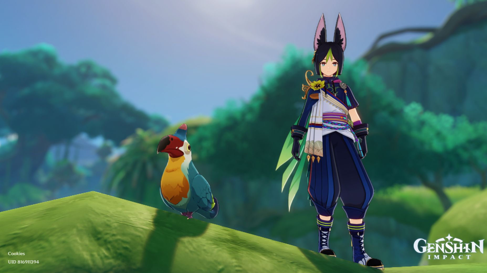 dusk birb Genshin Impact | HoYoLAB