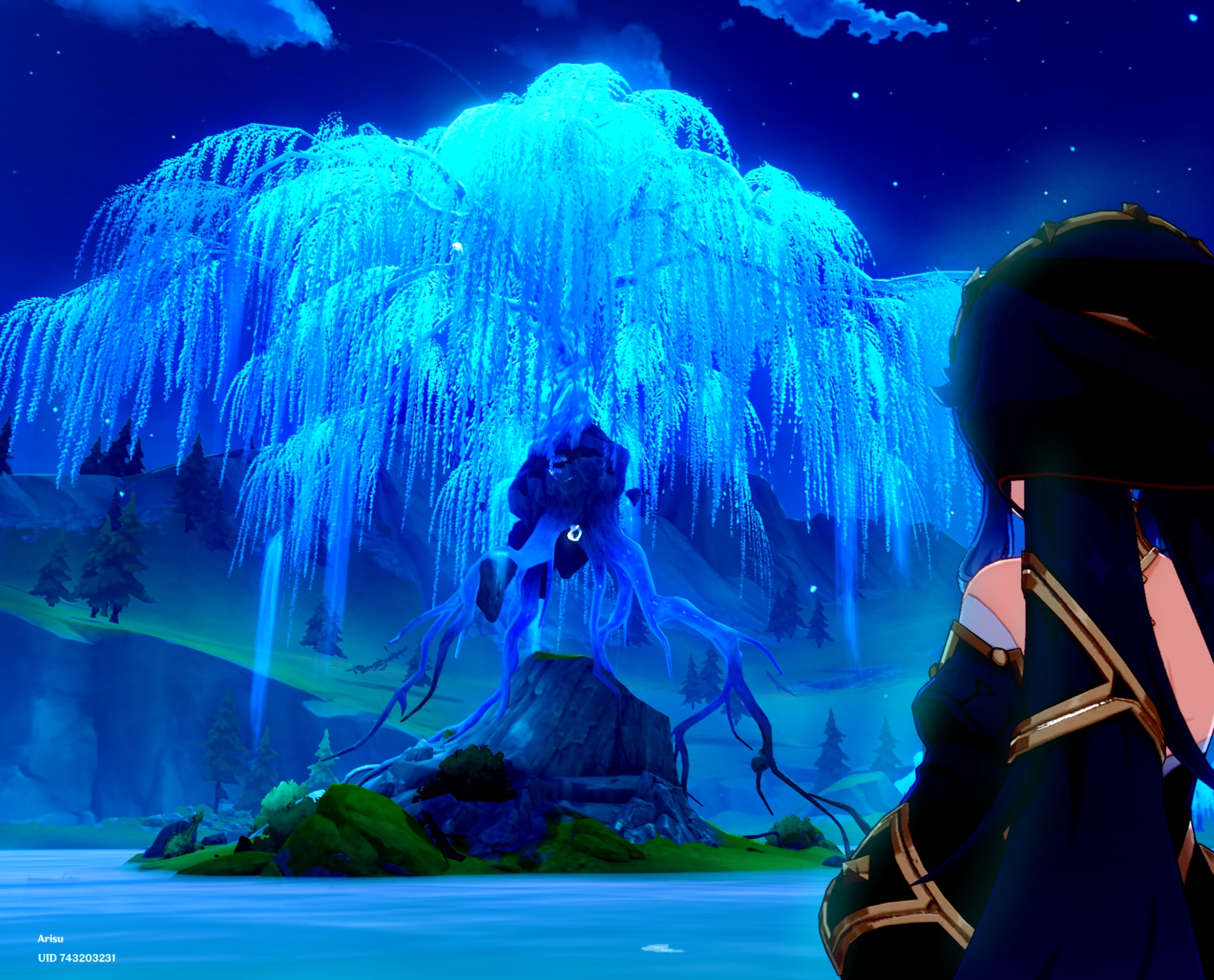 Weeping Willow of the Lake Genshin Impact | HoYoLAB