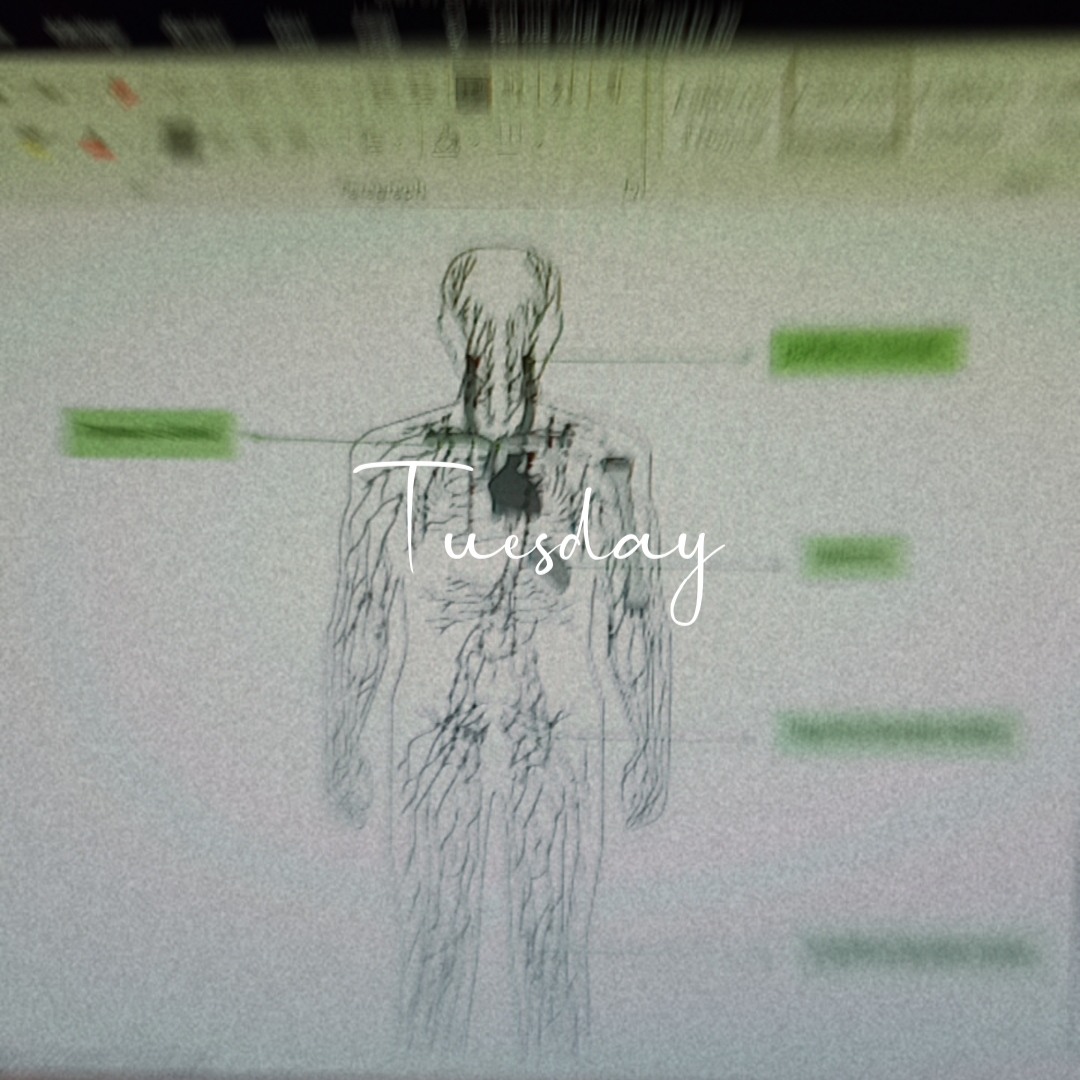 My freedom is near...i can smell it.. | HoYoLAB