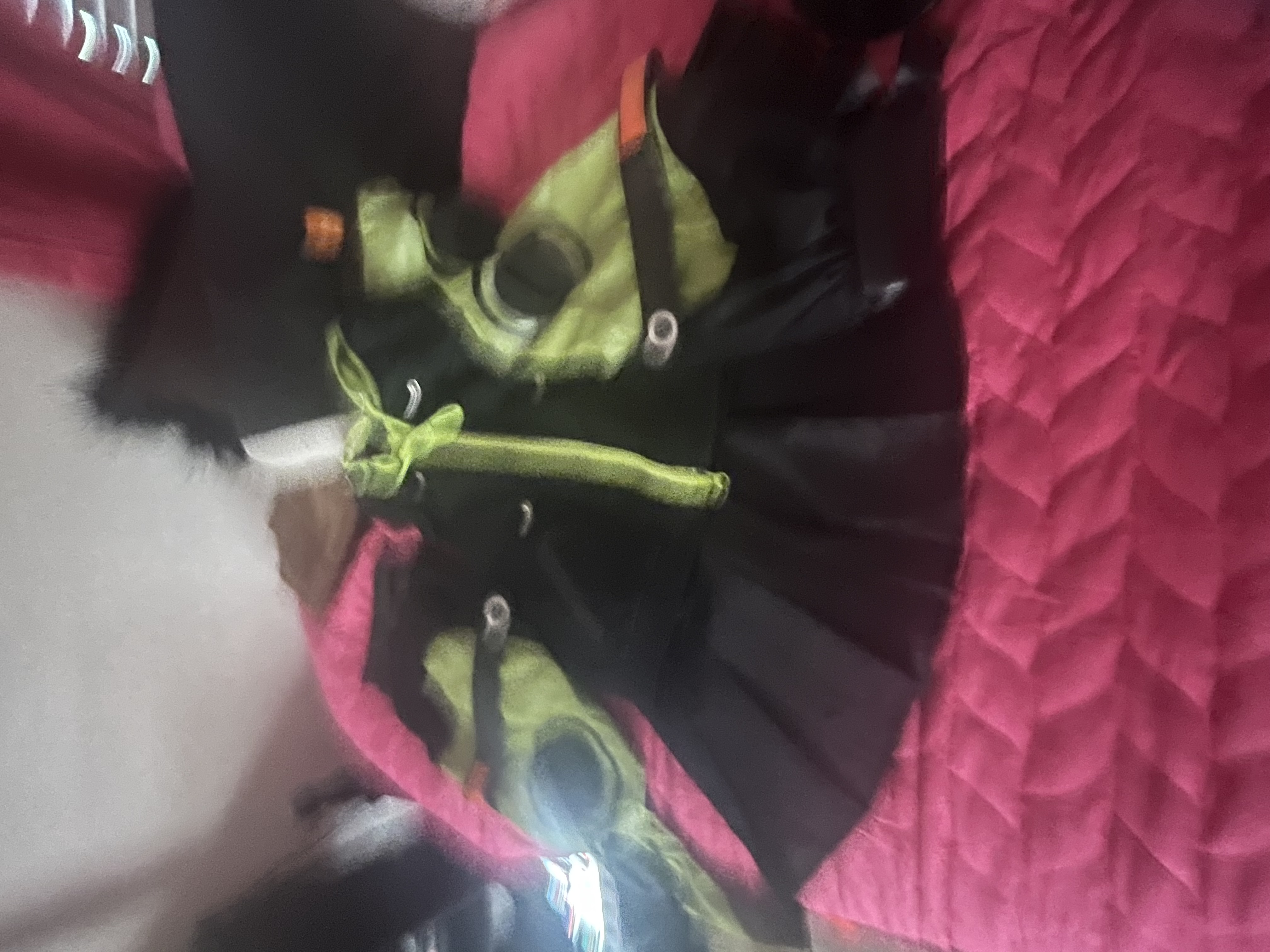 Anby cosplay arrived💚🍔 Zenless Zone Zero | HoYoLAB