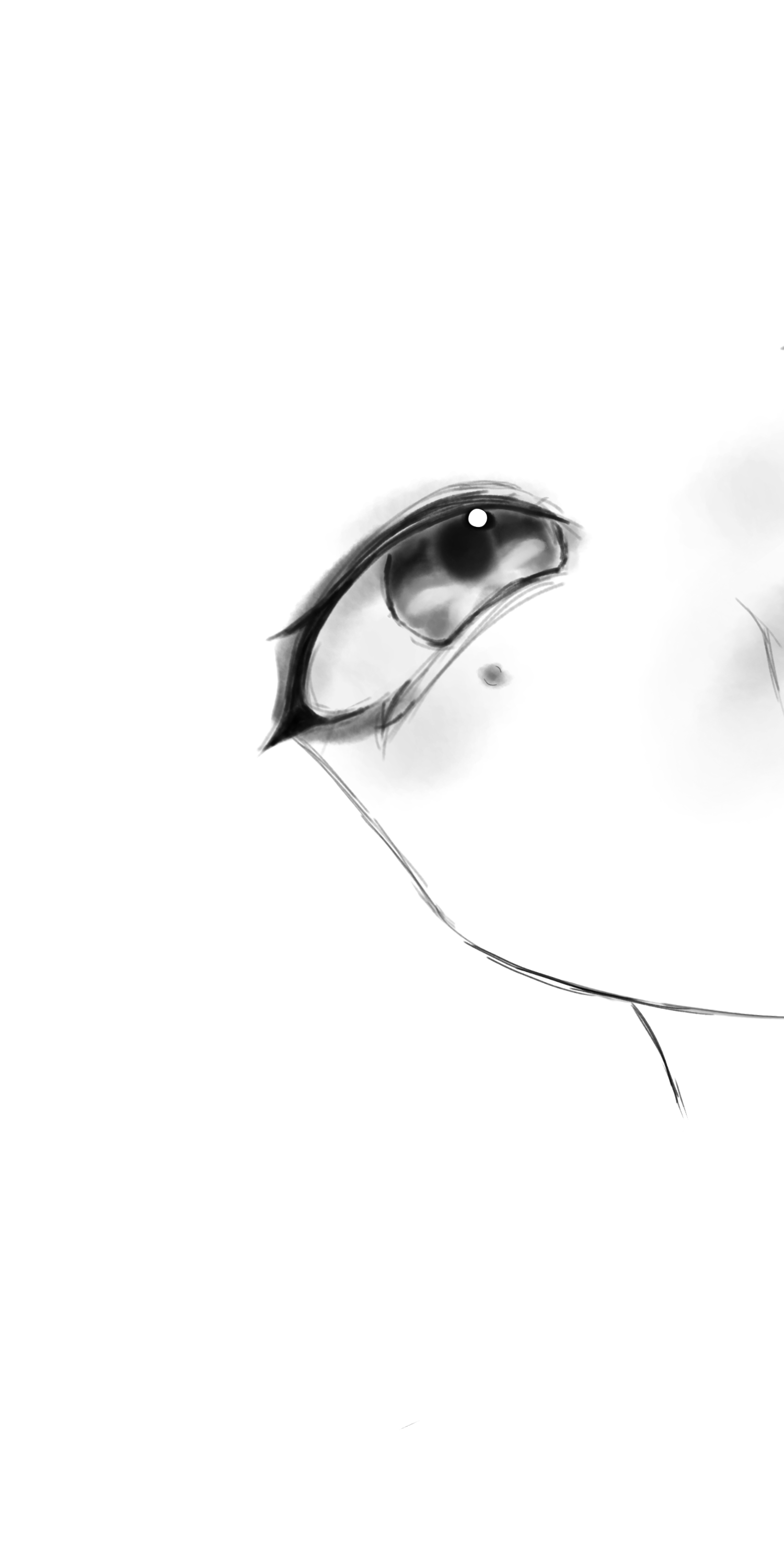 drawing sparkle Genshin Impact | HoYoLAB