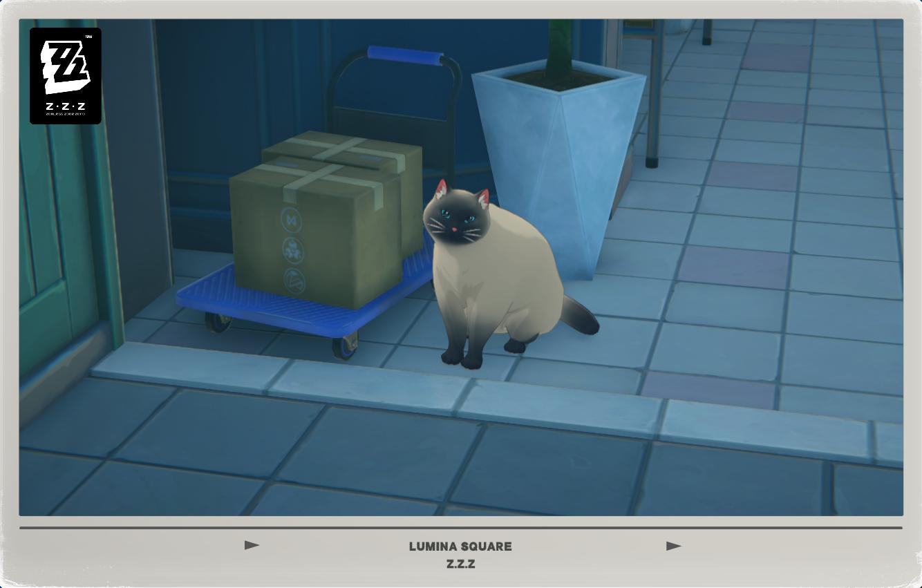FLUFFIE MEOWIES Zenless Zone Zero | HoYoLAB
