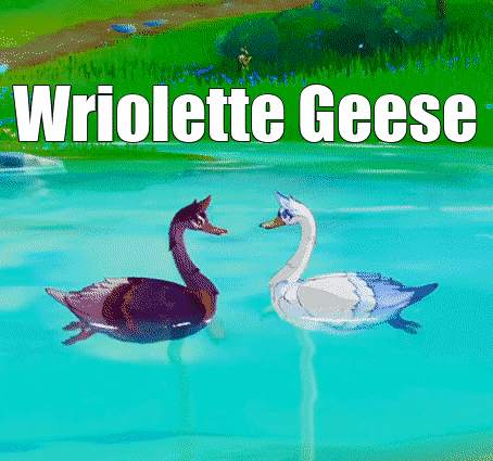 Wriolette is canon!! Genshin Impact | HoYoLAB