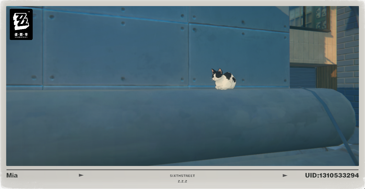 Cat Zenless Zone Zero | HoYoLAB