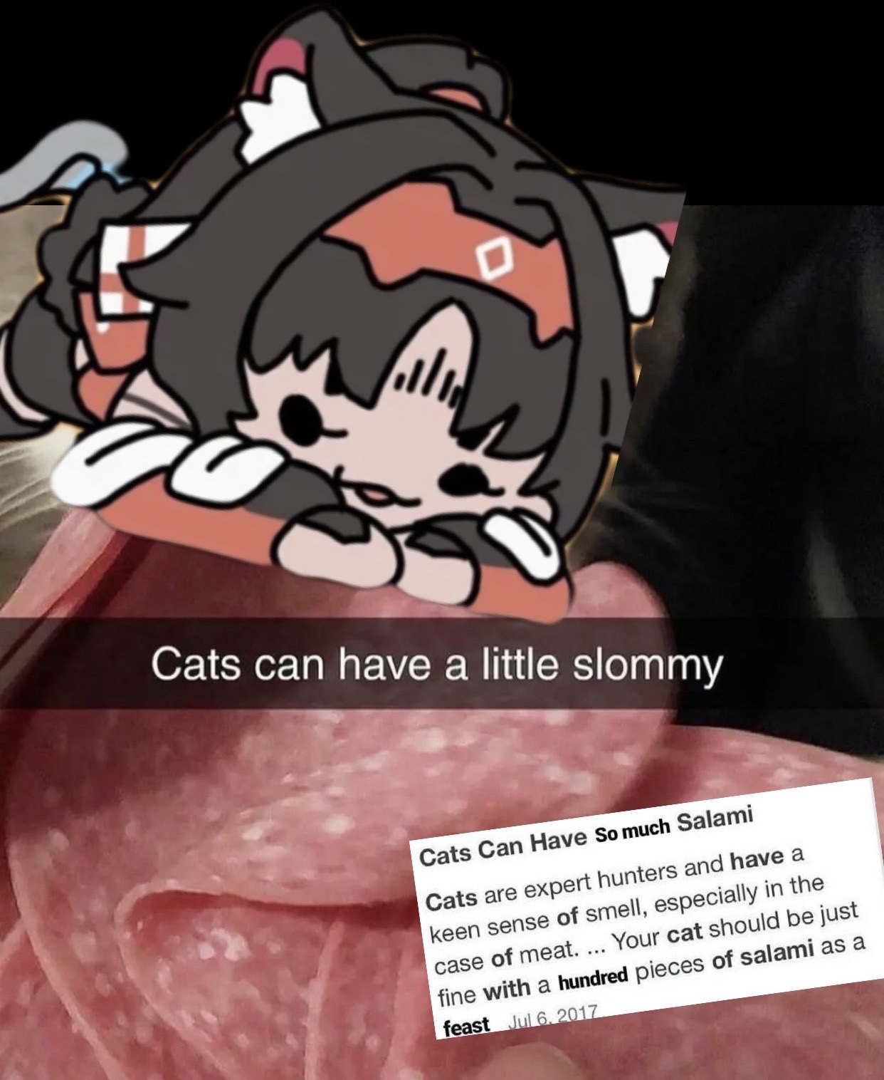 Can cats have a little slommy? Zenless Zone Zero | HoYoLAB