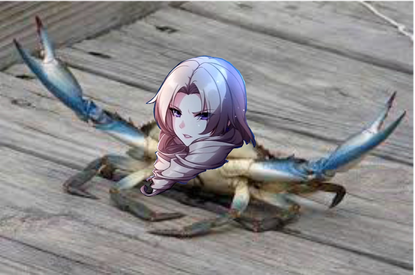 Cocolia as a Cocolía edit Honkai Impact 3rd | HoYoLAB