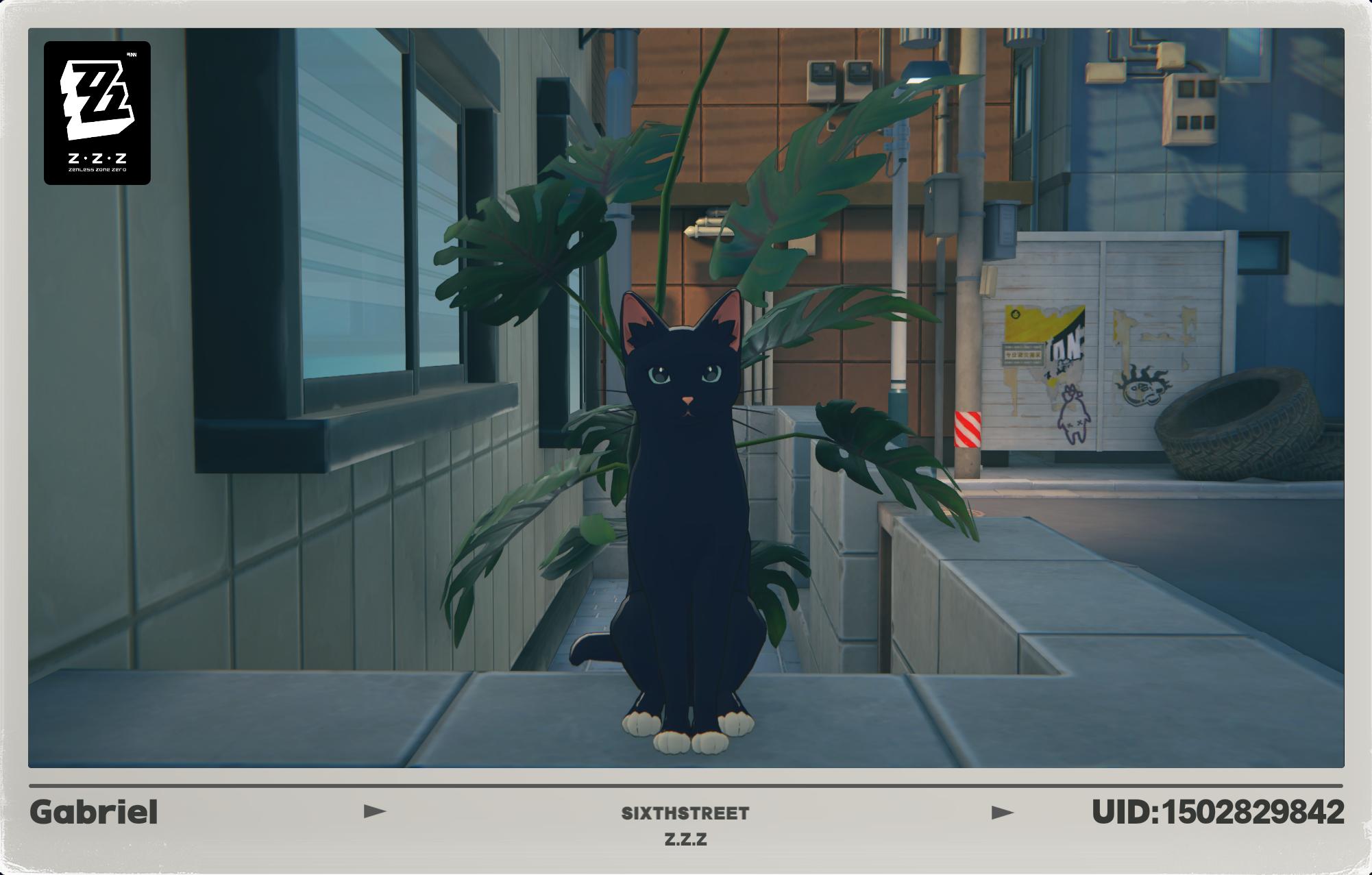 Me discovering there are Cats in this game Zenless Zone Zero | HoYoLAB