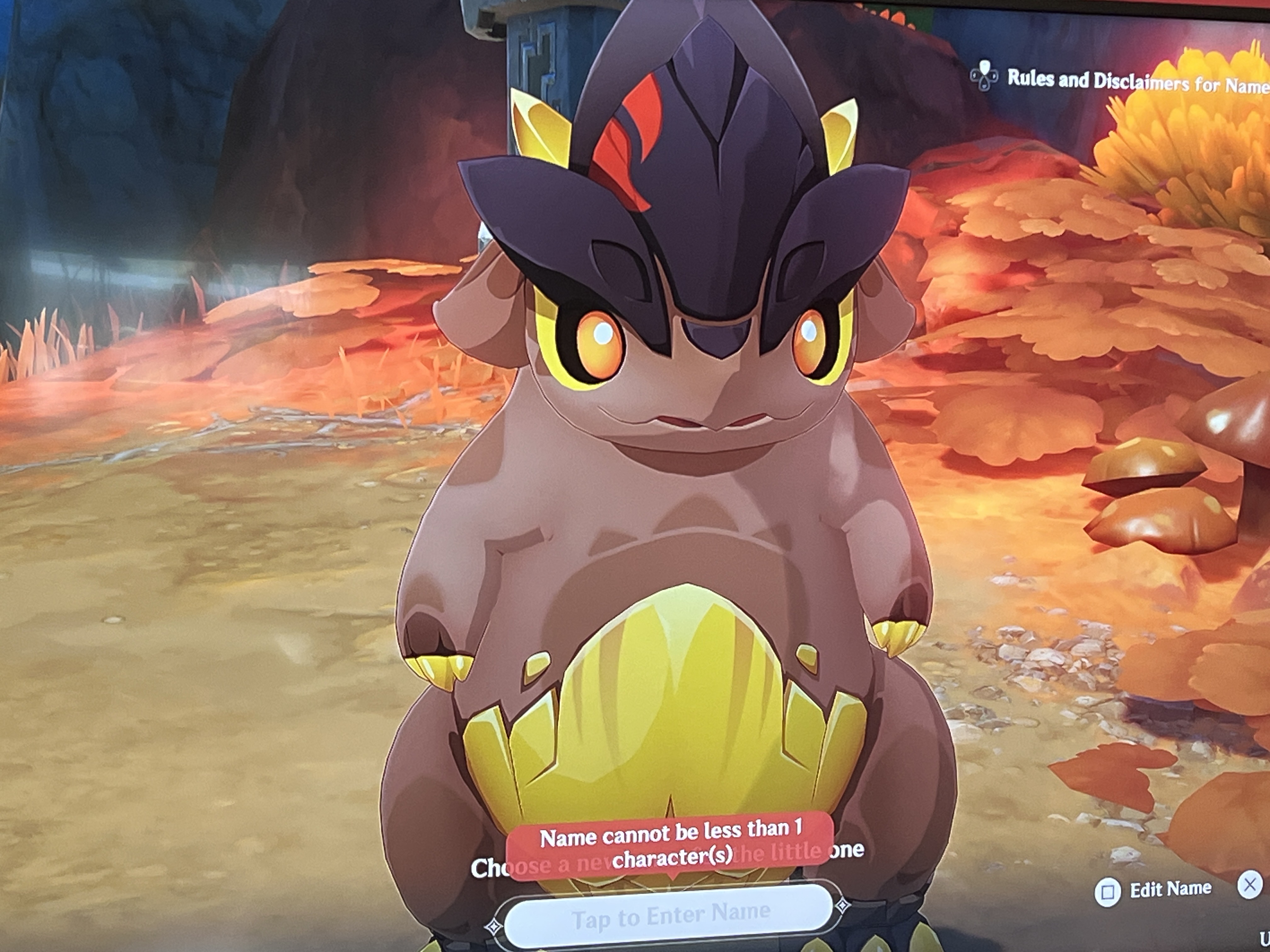 Any name recommendations for this little guy?? Genshin Impact | HoYoLAB