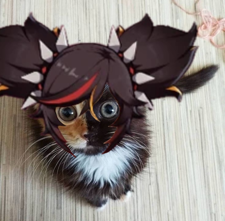 cat xinyan day 14 or something Genshin Impact | HoYoLAB