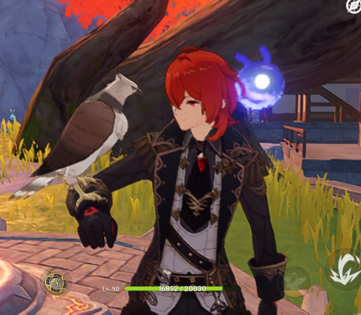 diluc bird Genshin Impact | HoYoLAB