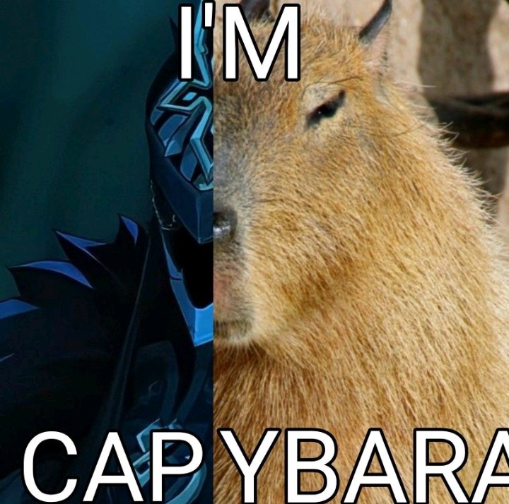😭😭😭😭😭😭😭😭😭CAPYBARA Genshin Impact | HoYoLAB