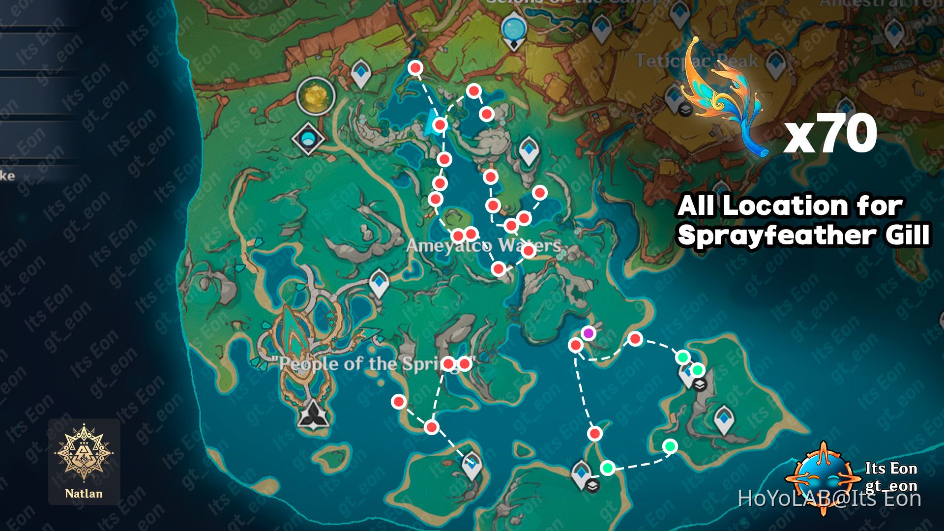 All the 70 Sprayfeather Gill Genshin Impact | HoYoLAB
