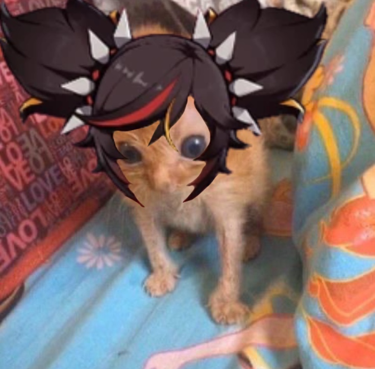 catyan Genshin Impact | HoYoLAB