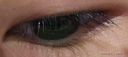 eye reveal | HoYoLAB