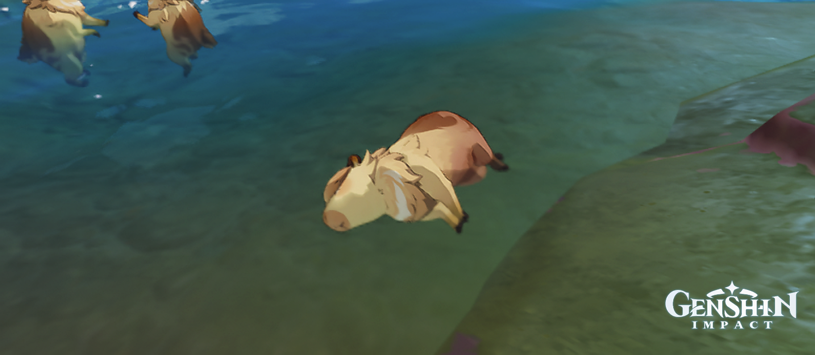 capybara died from drowning (r.i.p capybara) Genshin Impact | HoYoLAB
