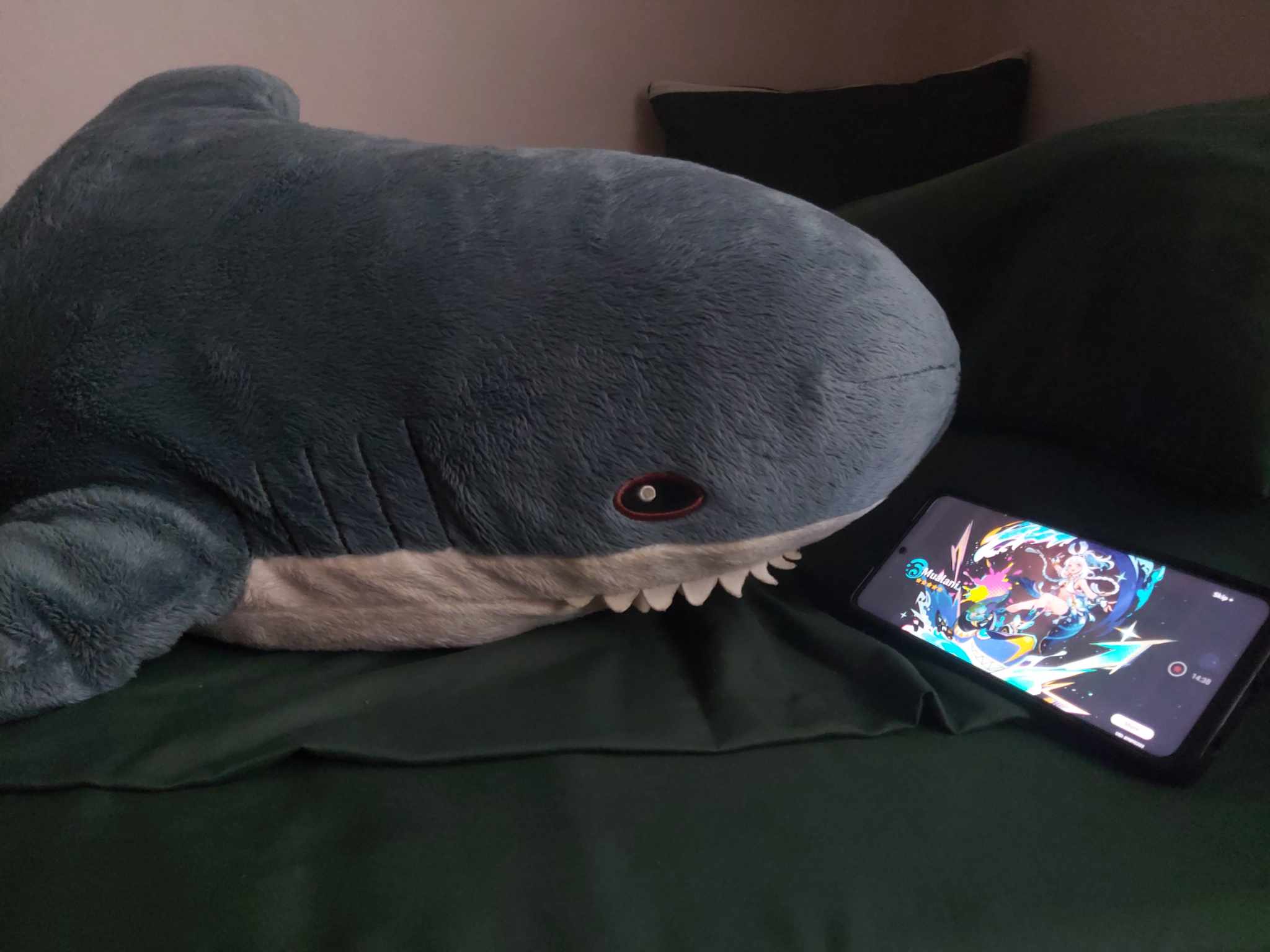 My Mualani summoning ritual Genshin Impact | HoYoLAB