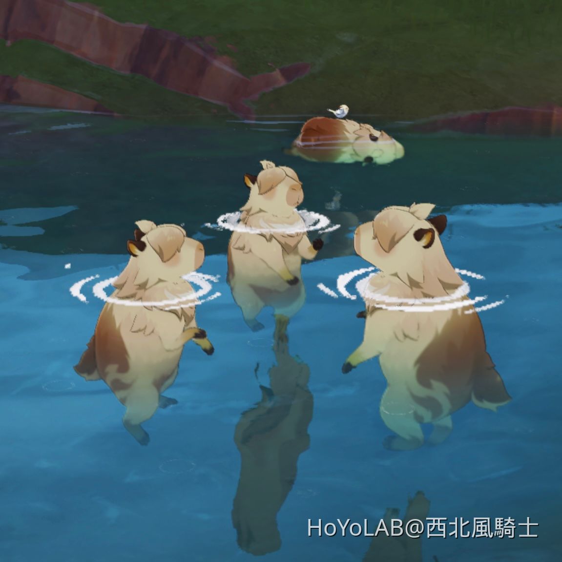 Natlan Animals Genshin Impact | HoYoLAB