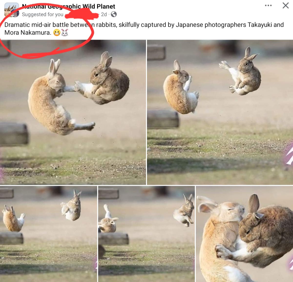 The photographer has the name Mora. Genshin Impact | HoYoLAB
