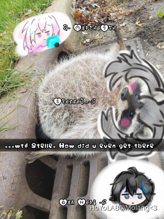 Stelle :3 Honkai: Star Rail | HoYoLAB