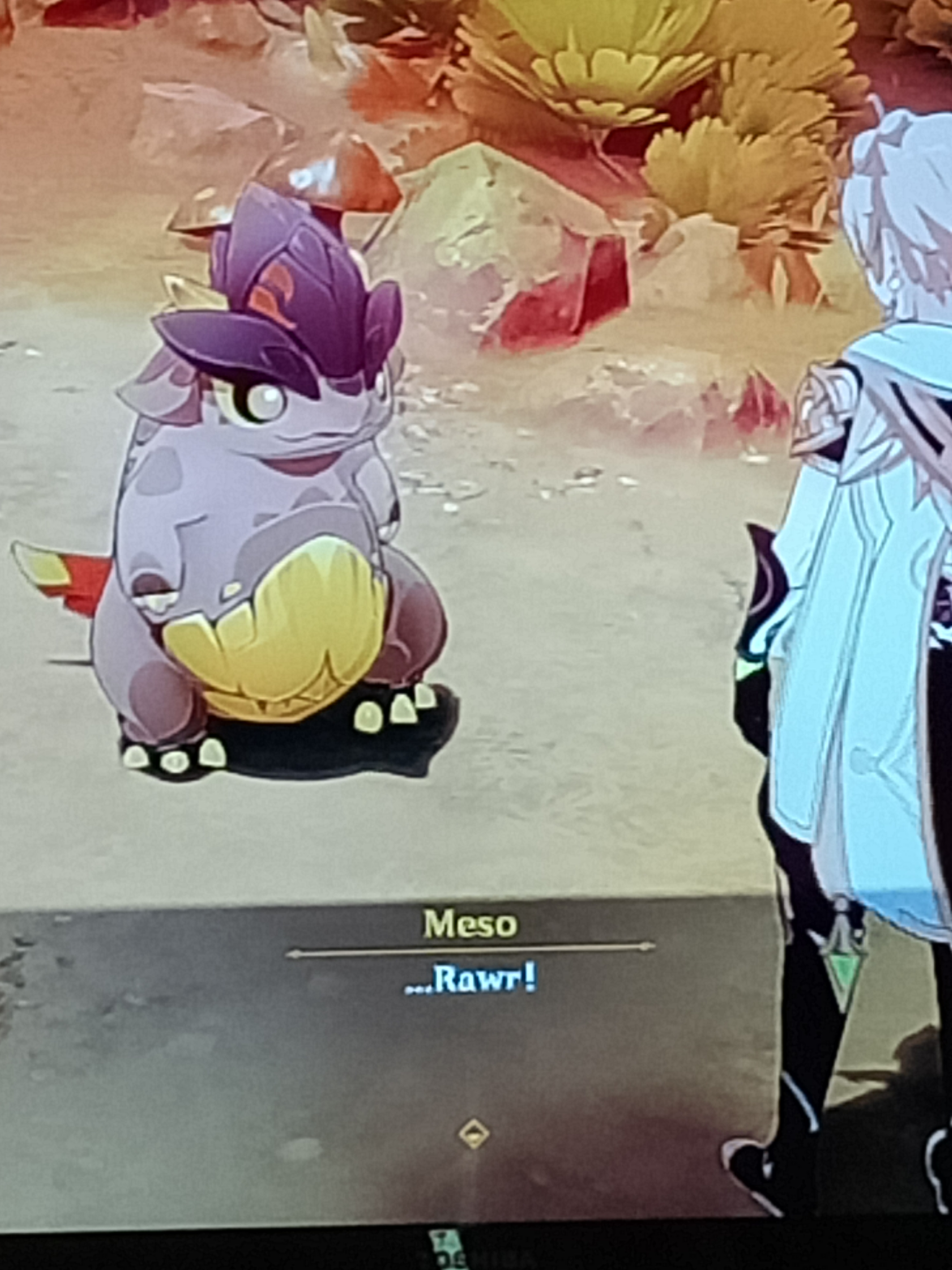 MESO!!! Genshin Impact | HoYoLAB