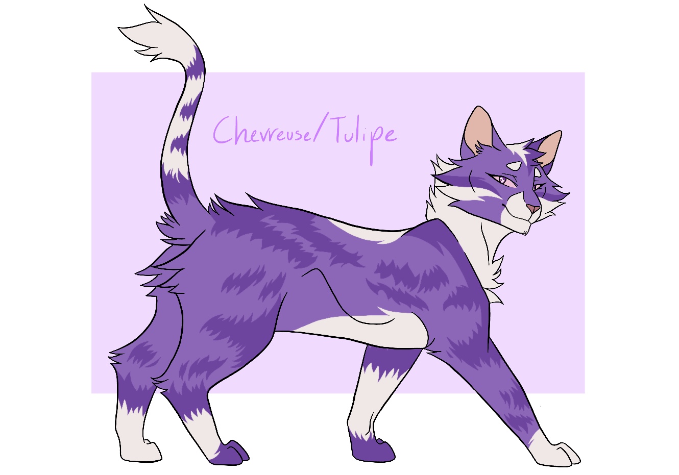 Genshin cats thirty-one Genshin Impact | HoYoLAB