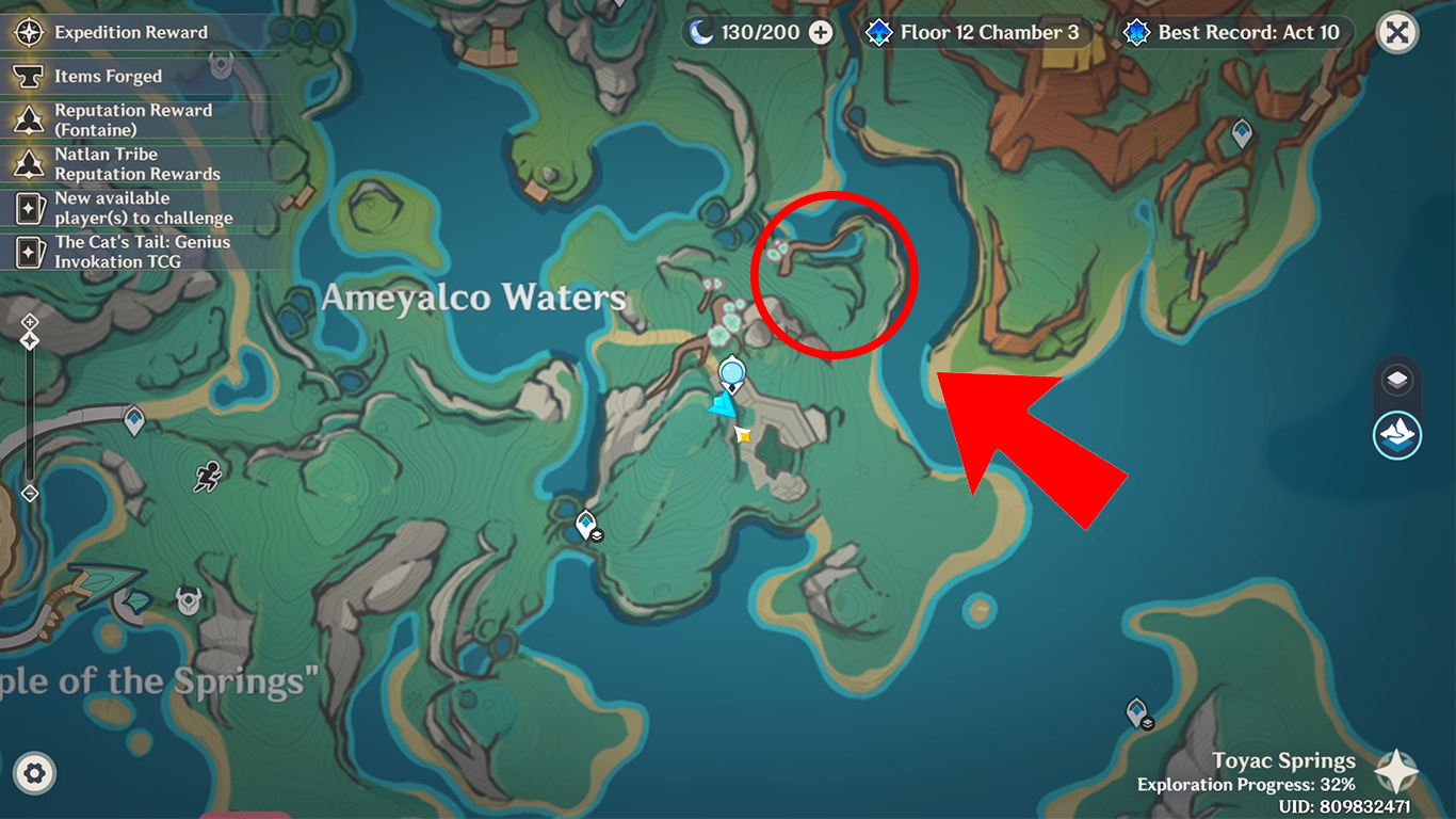 How to cheese Cocijo with Furina (Achievement Guide) Genshin Impact ...