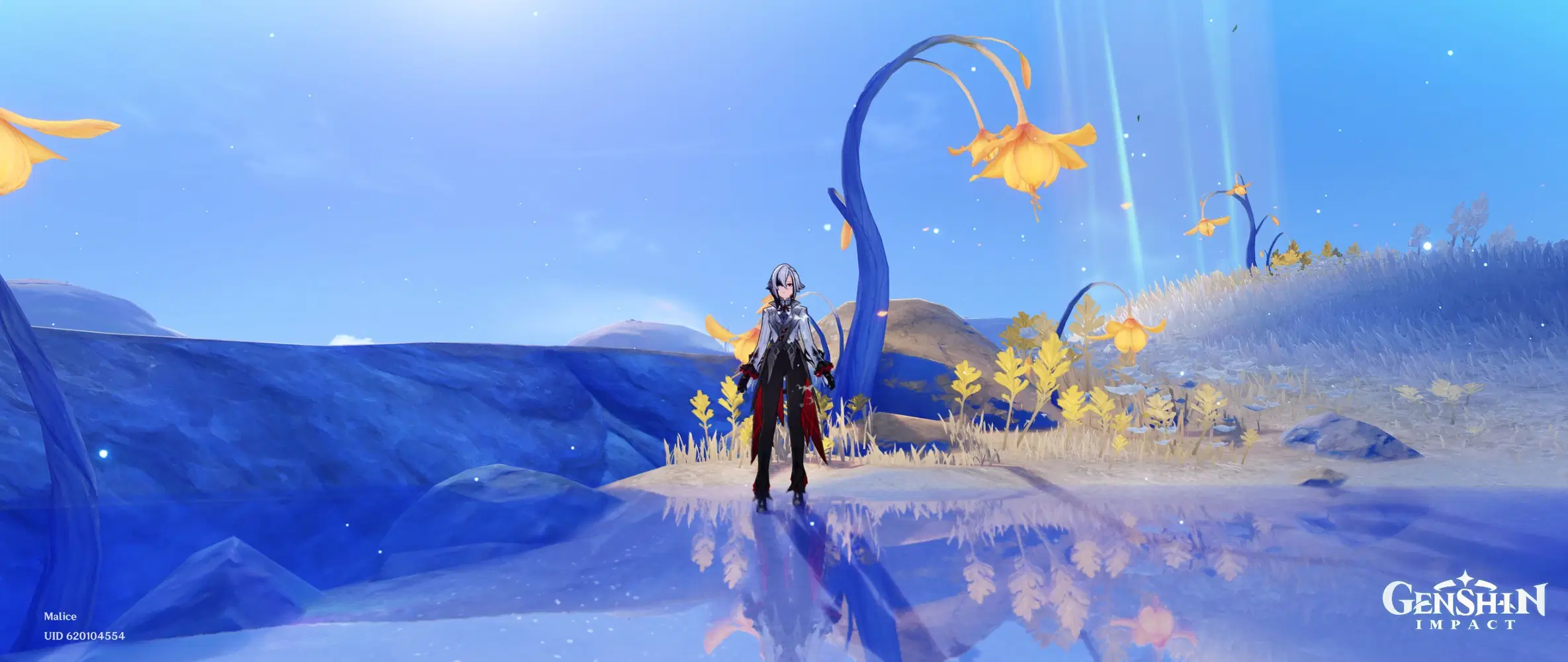 TEAPOT MAINS: Where to find the new Natlan wood Genshin Impact | HoYoLAB